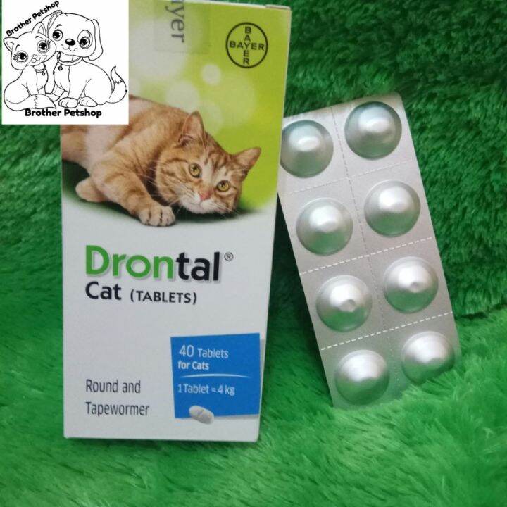 Drontal Cat Tablet - Obat Cacing Kucing Drontal Tablet Bliter | Lazada Indonesia