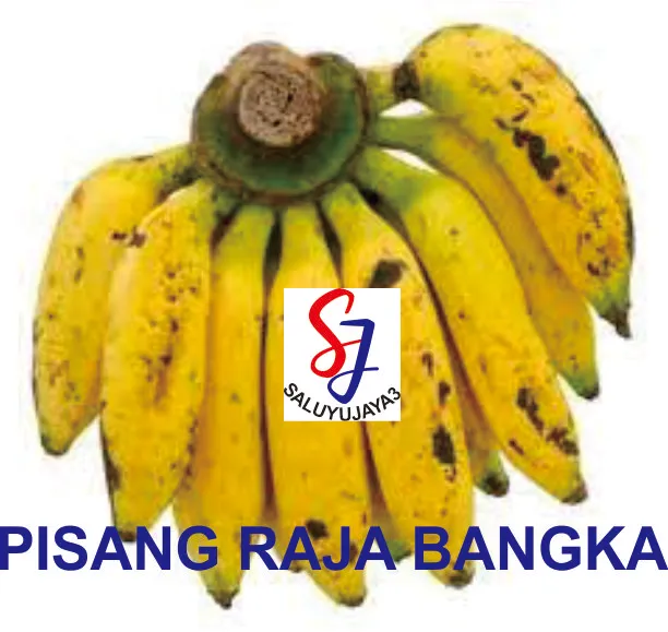 PISANG RAJA BANGKA SEGAR/1Kg | Lazada Indonesia