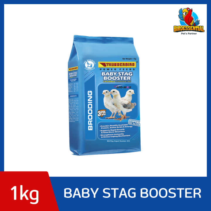 Baby Stag Booster Thunderbird | Lazada PH