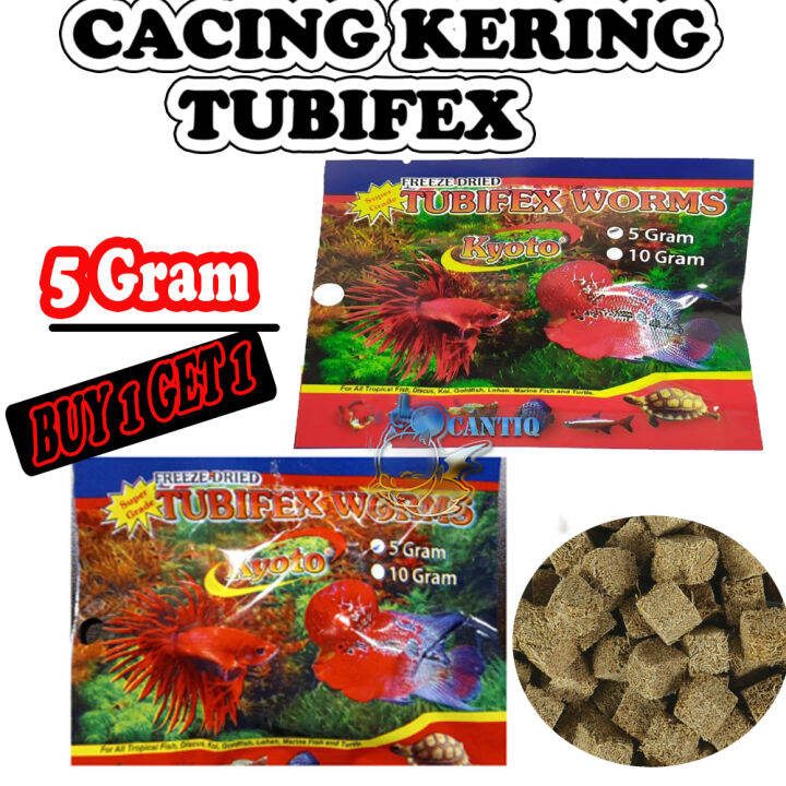 QCF 5 GRAM BELI 1 GRATIS 1 KYOTO CACING BEKU TUBIFEX WORMS Sinking Cacing Kering Pakan Ikan Hias ...