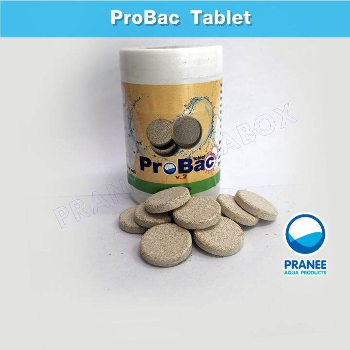 ProBac Active tablet จุลินทรีย์กำจัดของเสียในตู้ปลา ตู้ต้นไม้น้ำ ...