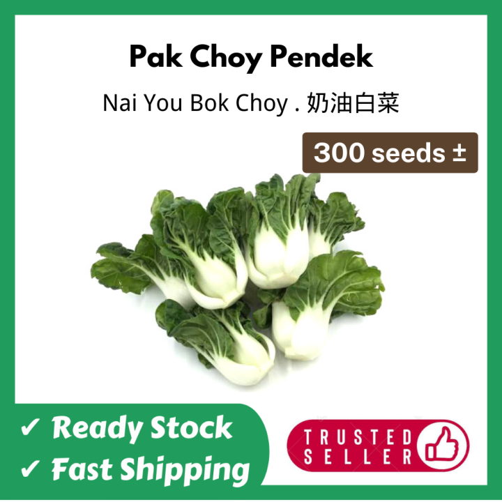 Vegetable Seeds / Biji Benih Sayur : Pak Choy Pendek . Nai You Bok Choy ...
