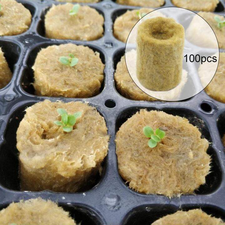 Loviver Rockwool Cubes Hydroponics Soilless Propagation for ...
