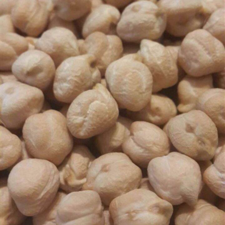 CHICK PEAS OR WHITE CHANNA 500gm | Lazada