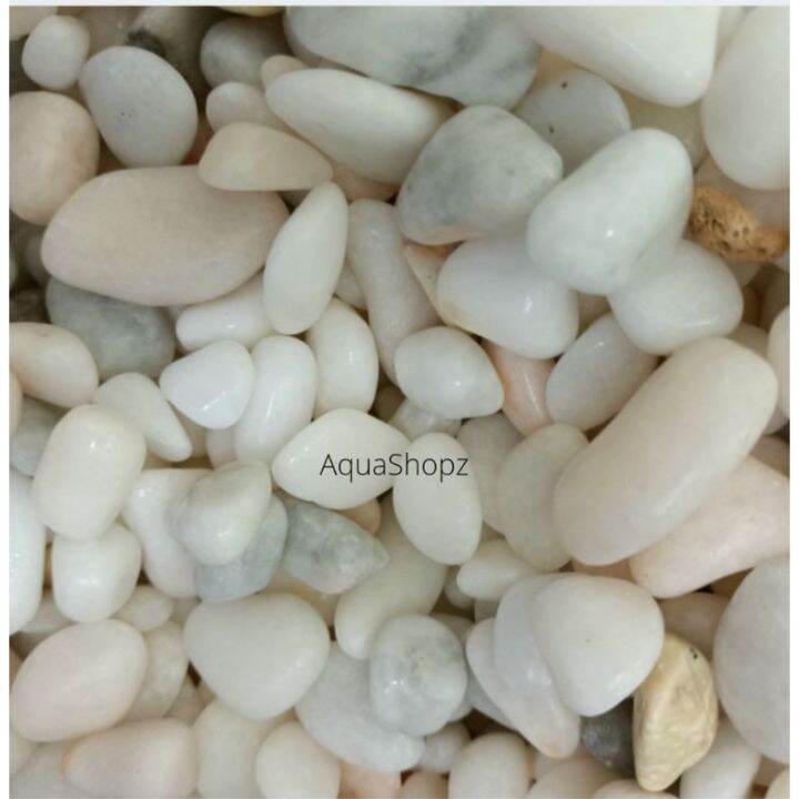 1kg Pearl White Mixed Colour Pebble Stones Aquarium Aquascape Gardening Pebbles Decor/Batu ...