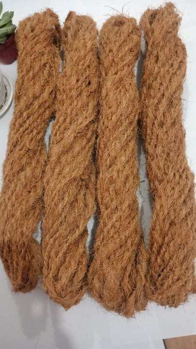 5 pcs Coco Ropes (12-14 meters ) Best for Using Coco pole for Plants ...