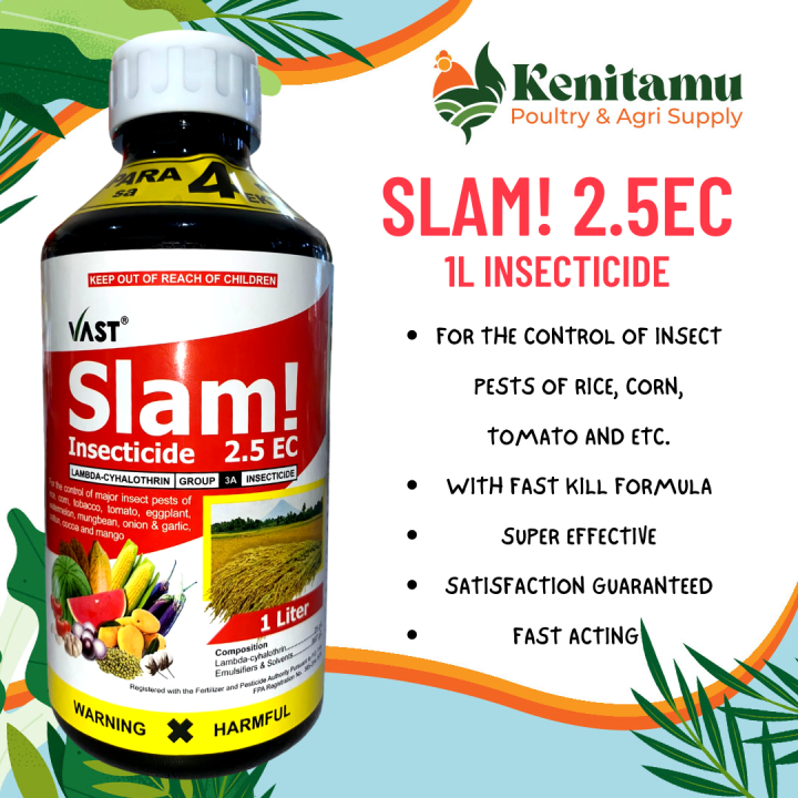 SLAM 2.5EC 1L INSECTICIDE BY: VAST / LIKE KARATE FOR PLANT CARE AND ...