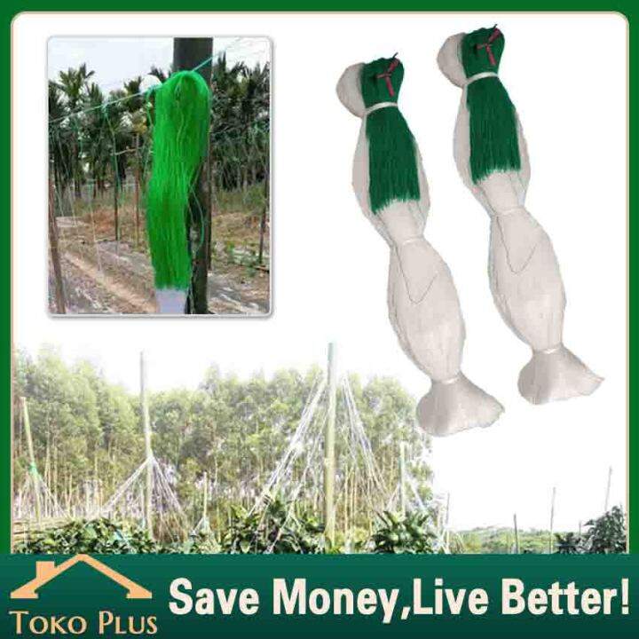 Jaring Tanaman Merambat Tali Jaring Net Rambatan Jaring Rambatan ...