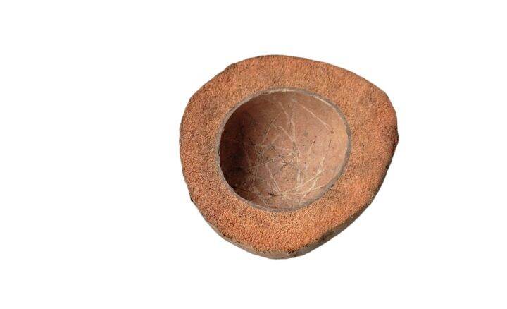 CHOOSY NATIVE HUSK FLOOR POLISHER, BUNOT PAMPAKINTAB SA SAHIG | Lazada PH