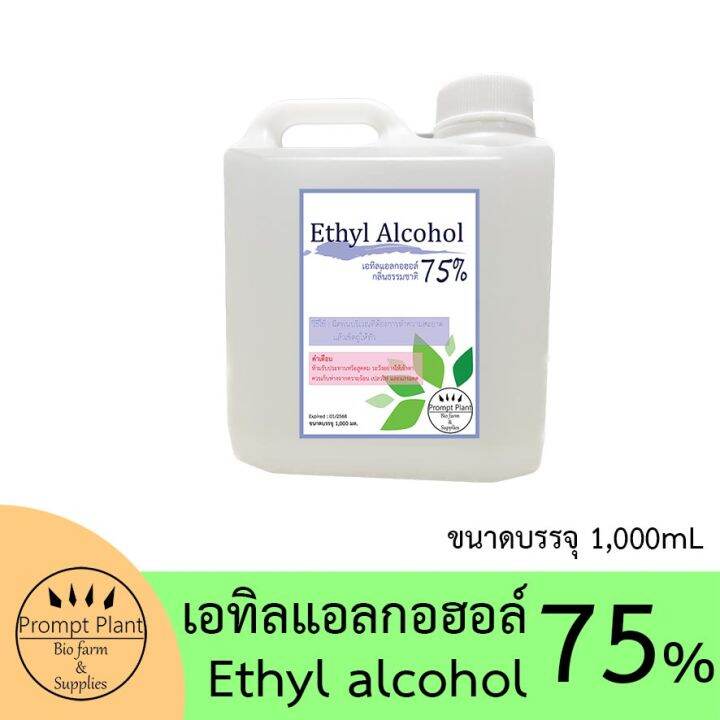 เอทิลแอลกอฮอล 75% (75%Ethanol) ขนาดบรรจุ 1,000 มล. | Lazada.co.th