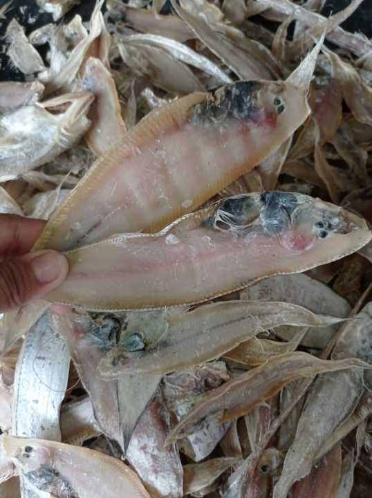 ikan asin ilat-ilat khas cirebon | Lazada Indonesia
