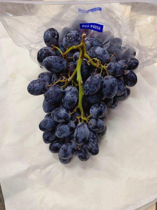 Seedless Black Grapes 黑葡萄 Anggur Hitam 500gm+- (only in Penang) | Lazada