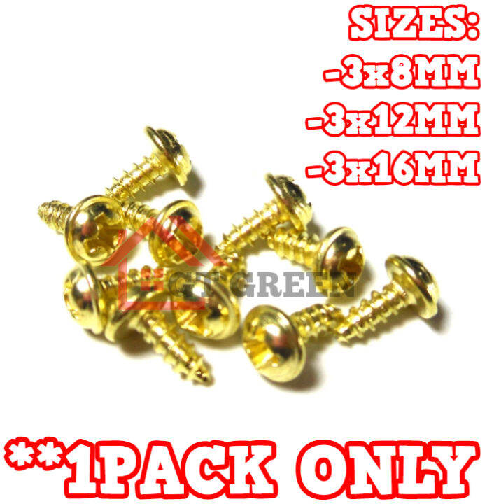 1PACK GOLD SELF TAPPING SCREWS Self Drilling Screws | Lazada PH