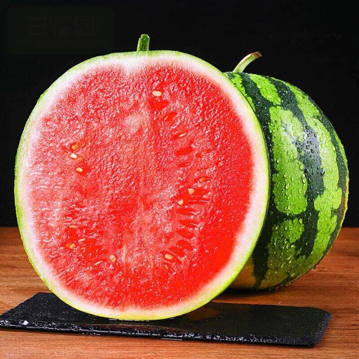 Fresh Watermelon Seeds Healthy Melon Seeds Planting Tsama Fruit Natural ...