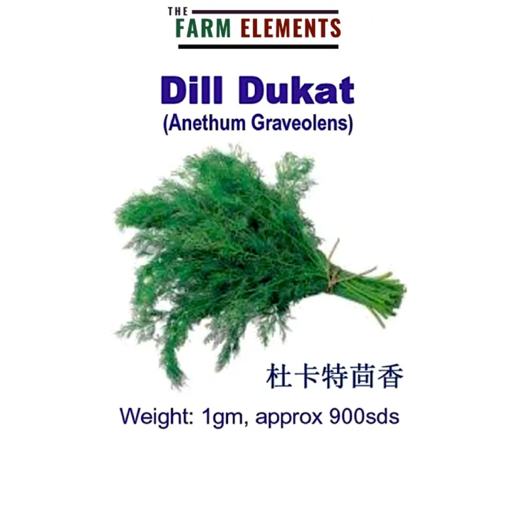 Wellgrow Dill Dukat Seeds (1gm, approx 900 sds) WHT- 杜卡特茴香 | Lazada
