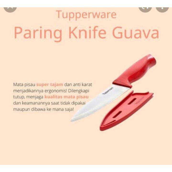 paring knife guava tupperware / pisau tupperware | Lazada Indonesia