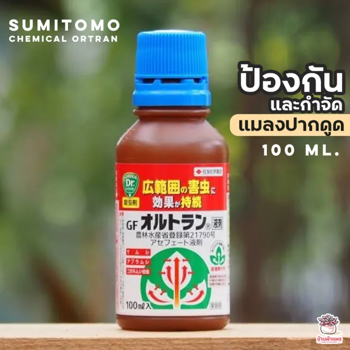 Sumitomo Chemical Ortran ป้องกันและกำจัดแมลงปากดูด นำเข้าจากญี่ปุ่น ไม้ ...