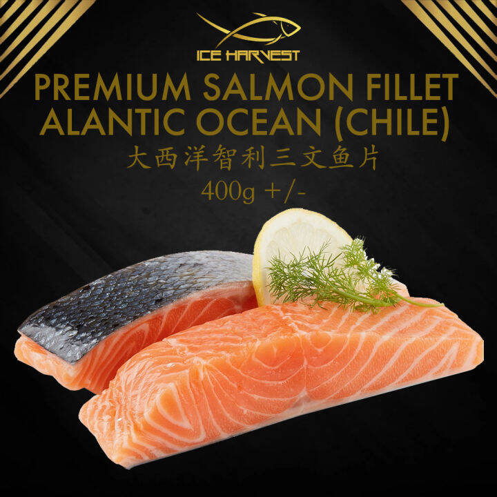 Atlantic Chile Premium Salmon Fillet With Skin 400g Fresh Frozen ...