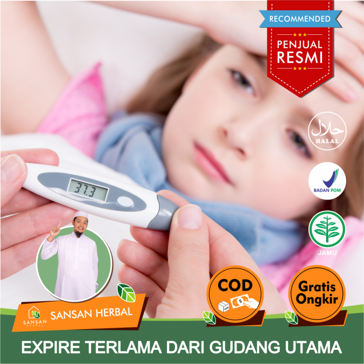 Obat Herbal tipes, Obat Demam Tifoid, Obat Tifus, Obat Gejala Tipes ...
