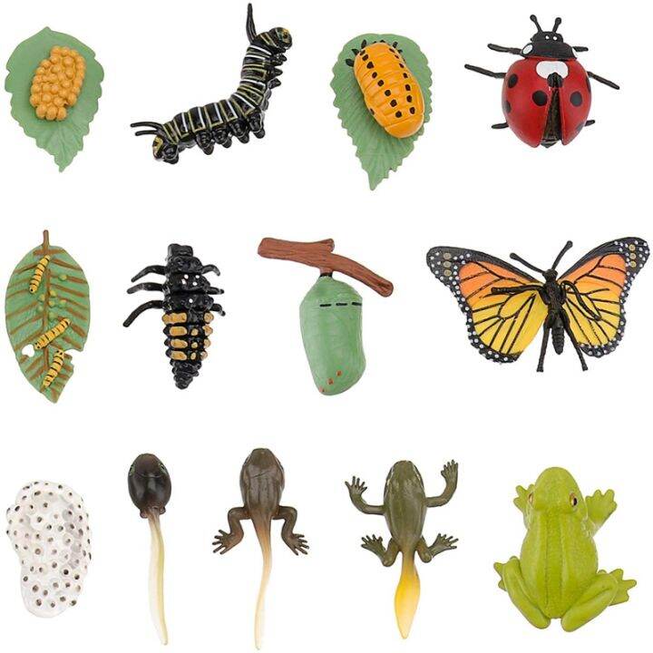 3 Sets Insect Figurines Life Cycle of Butterfly Frog Ladybug ...