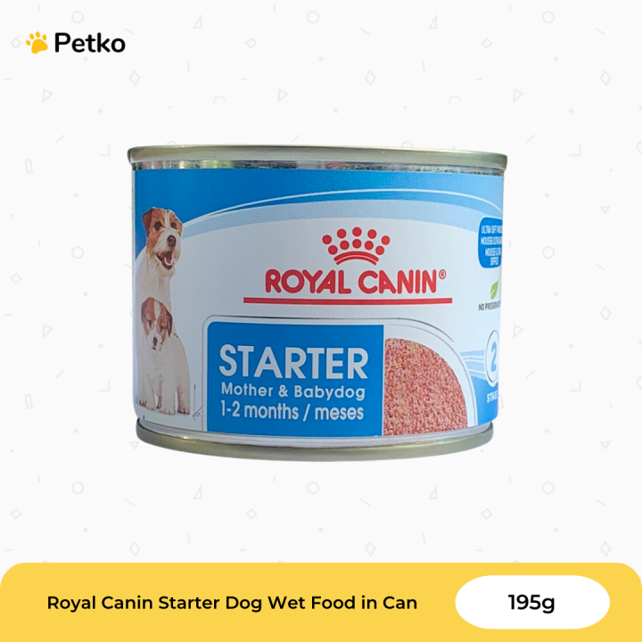 Royal Canin Starter Mousse Mother & Babydog Wet Dog Food 195g | Lazada PH