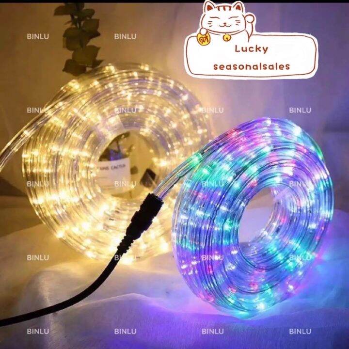 10 Meter Indoor/Outdoor Super Bright LED Rope Light Christmas Lights ...