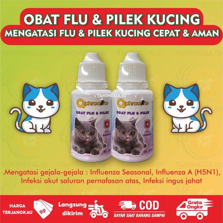 Obat flu dan pilek untuk kucing paling ampuh obat batuk anak kucing ... Obat flu dan pilek untuk kucing paling ampuh obat batuk anak kucing ...