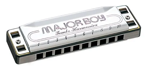 TOMBO Dragonfly 10 Halls Harmonica E Major Boy 1710 | Lazada PH