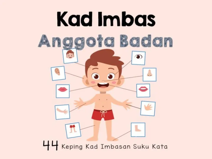 Malay Flashcards (Anggota Badan/Body Parts)- Language/Literacy/Malay ...