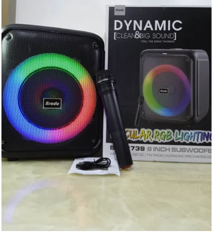 Brodu BTS-1739 8-Inch Colorful LED Light Karaoke Bluetooth Portable ...