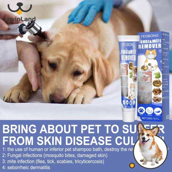 Lovinland Dog Mite Removal Cream Anti Itching Ointment Prevent Fungi ...