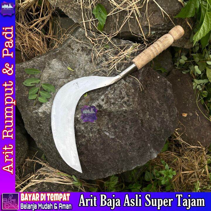 Arit Sabit Baja Asli Super Tajam Arit Pemotong rumput & Padi Arit ...