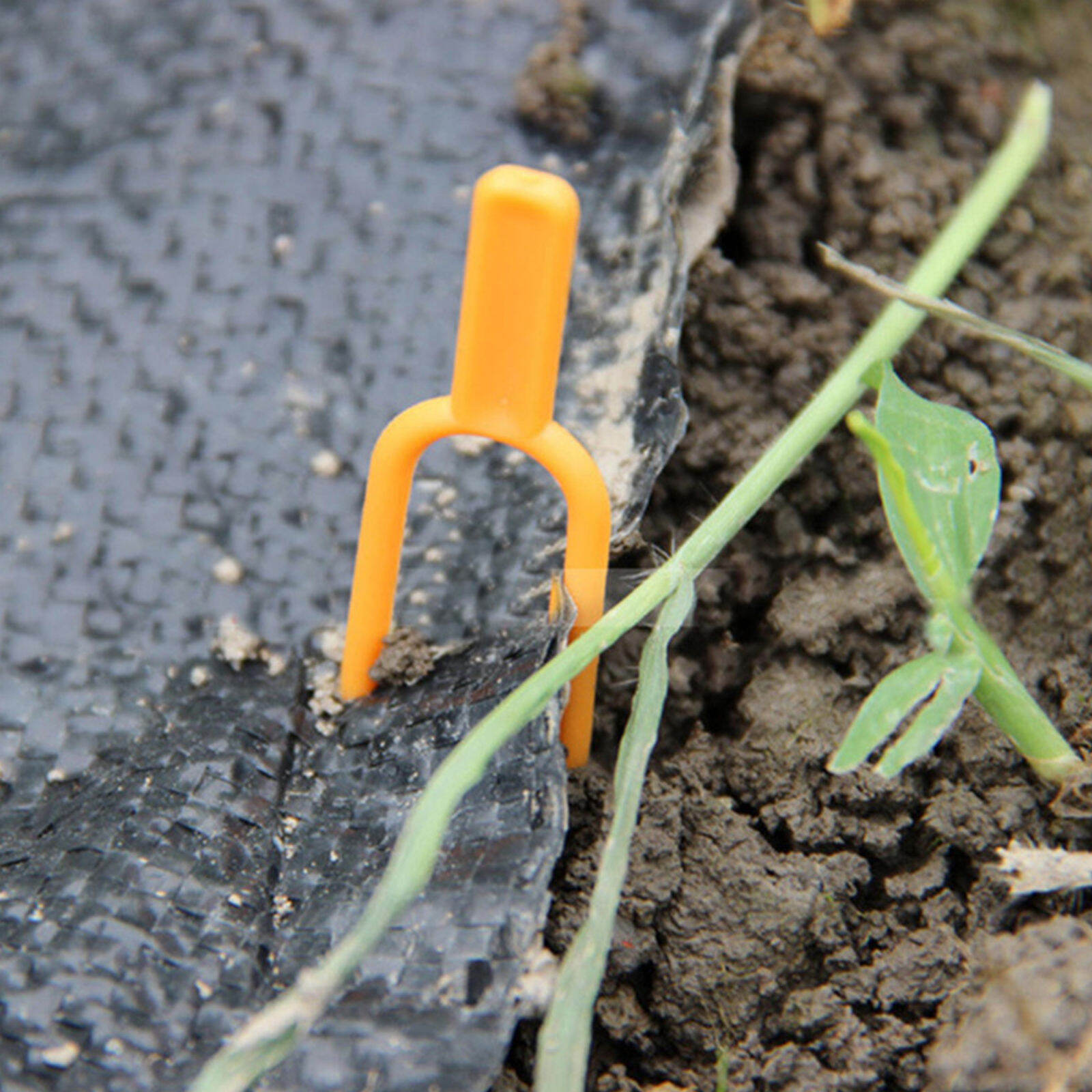 【คลังสินค้าพร้อม】50PCS Plant Stem Stolon Fixator 65MM Garden Strawberry ...