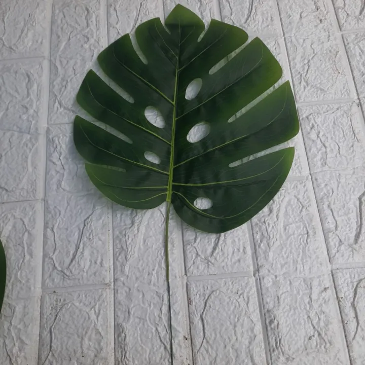 daun janda bolong artificial -daunmonstera -daunlatex | Lazada Indonesia