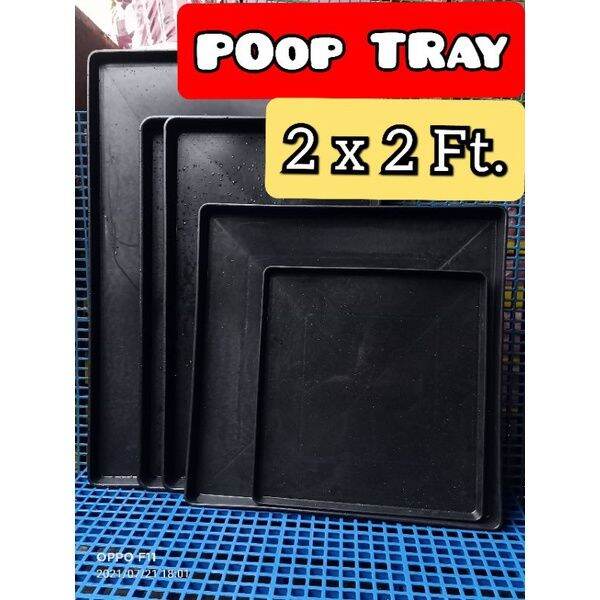 Poop Tray 2x2 Ft. HD♢ | Lazada PH