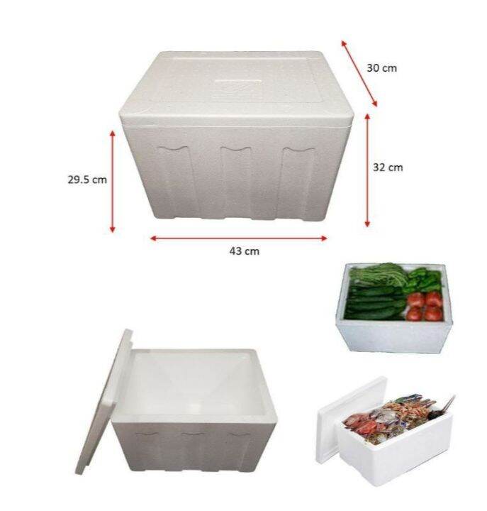 Box Fish Foam / Tempat Simpan Ikan / Makanan Minuman Sejuk | Lazada