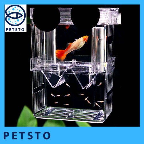 Petsto Double Layer Fish Isolation Breeding Hatching Box guppy breeding ...