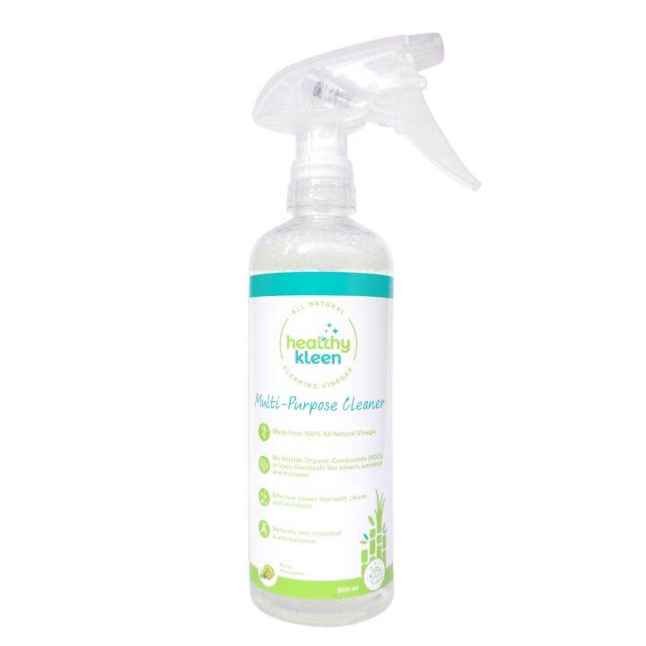 Multi-Purpose Kleen 500ml Spray Bottle | Lazada PH