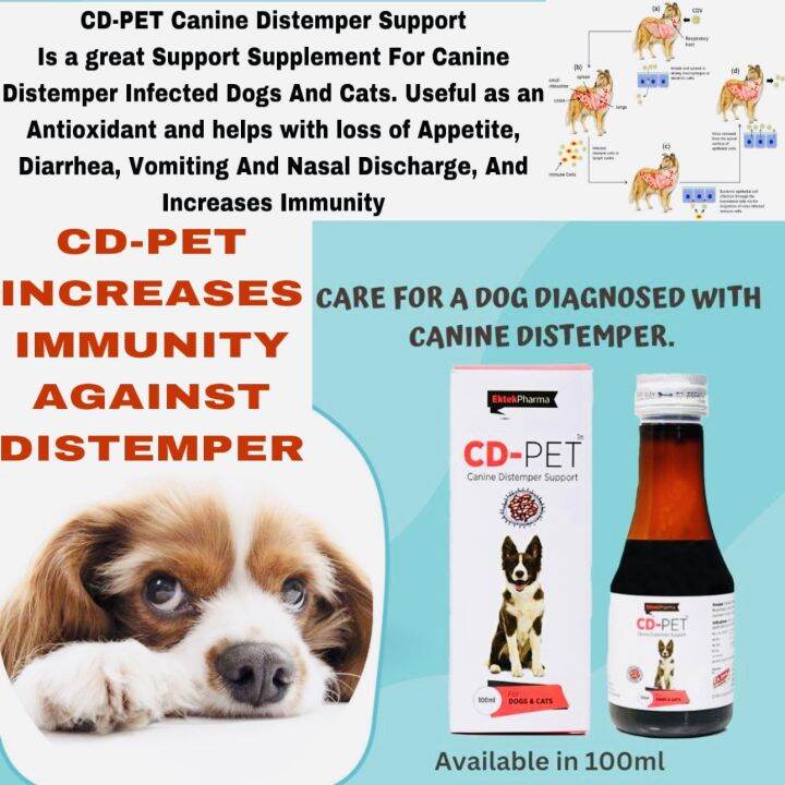 CD PET Increases Immunity Against Distemper On Dogs And Cats | Lazada PH