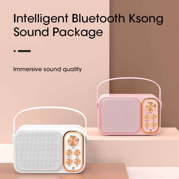 YS - 105 Portable Wireless Karaoke Bluetooth Speaker With Two Wireless ...