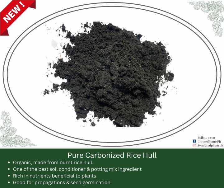 Premium Carbonized Rice Hull by Curated Plants- 1 Kilo Pack | Lazada PH