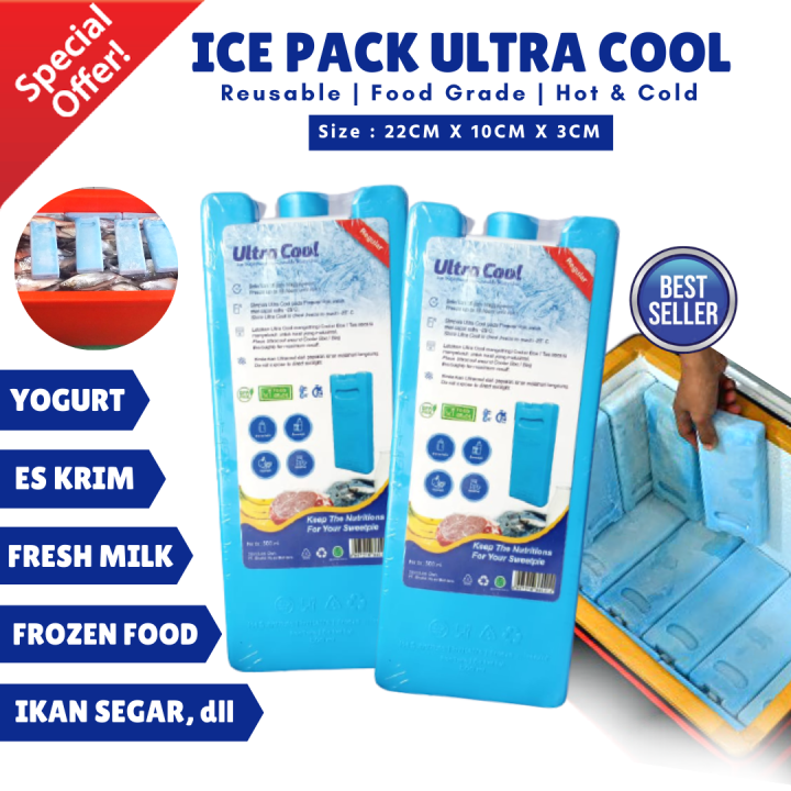 Ice Pack Makanan Ukuran 22x10x3 cm Espack Cooler Cool Box Kotak ...