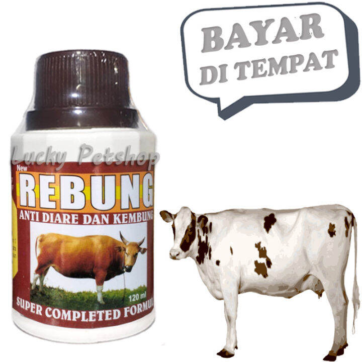 Obat Sapi Kambing Mencret Kembung Buncit Diare REBUNG Completed Formula ...