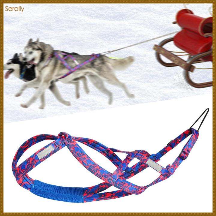 Serally Dog Pulling Harness Sport Skijoring Bikejoring Work Out Sled Harness | Lazada PH