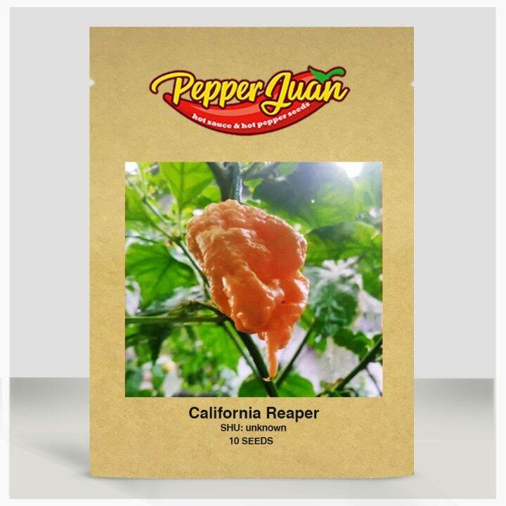 California Reaper Pepper Seeds | Lazada PH
