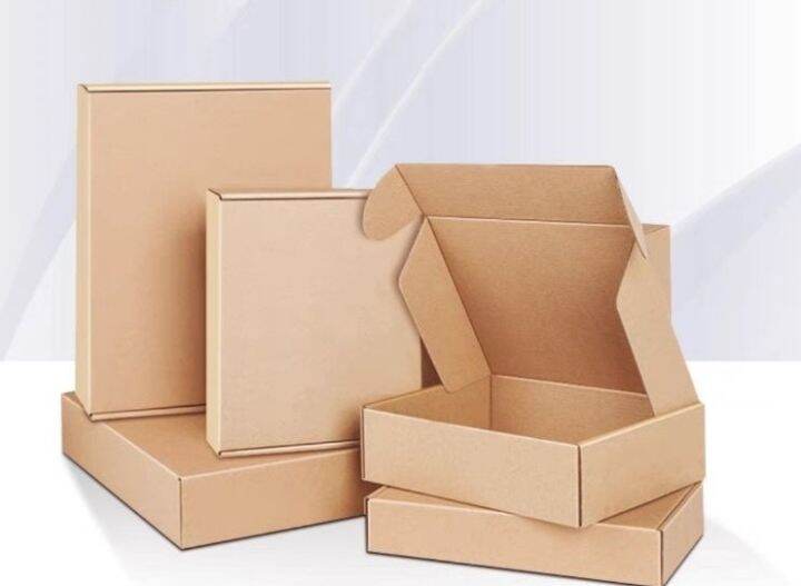 Carton Mailer Box Corrugated Packaging Kraft | Lazada PH