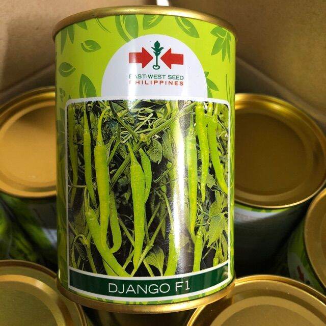 buy one get one free, 50 seeds (not plants)SILING PANIGANG SEEDS ...