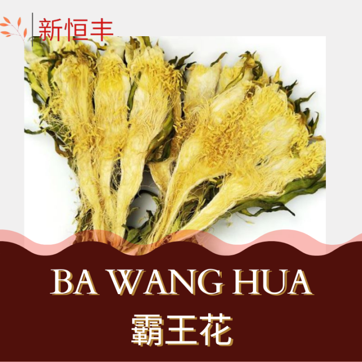 Ba Wang Hua/ Night Blooming Cereus 霸王花 100G | Lazada