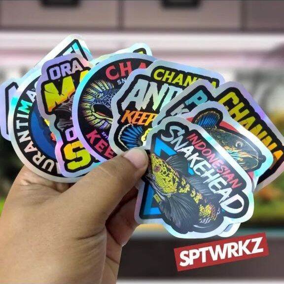STIKER IKAN CHANNA HOLOGRAM ANTI AIR/ STIKER HOLOGRAM AKUARIUM CHANNA ...