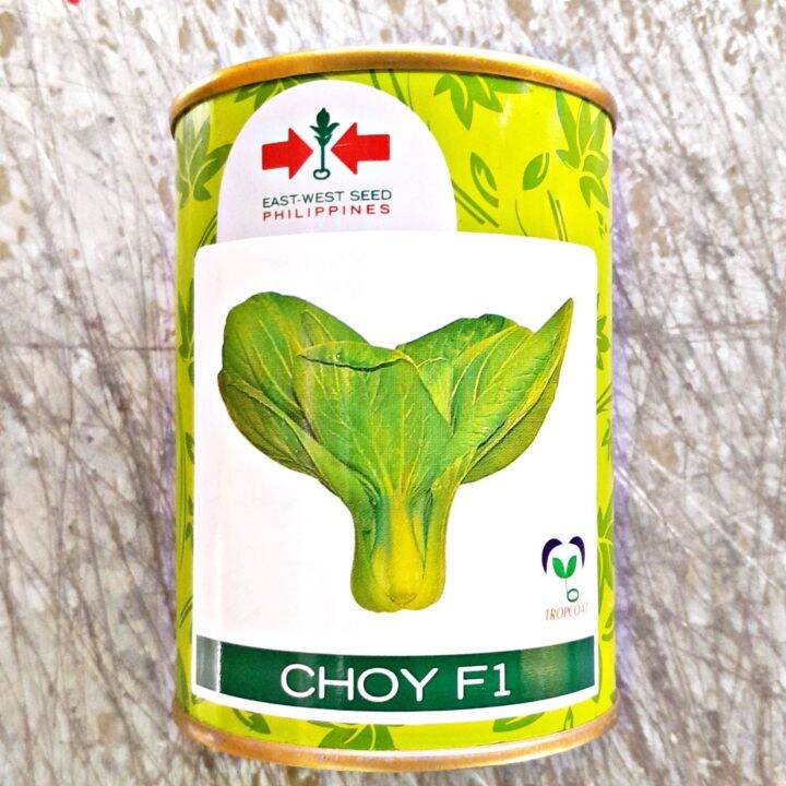 CHOY F1 HYBRID PECHAY SEEDS (100 GRAMS) PETCHAY by EAST WEST SEED ...